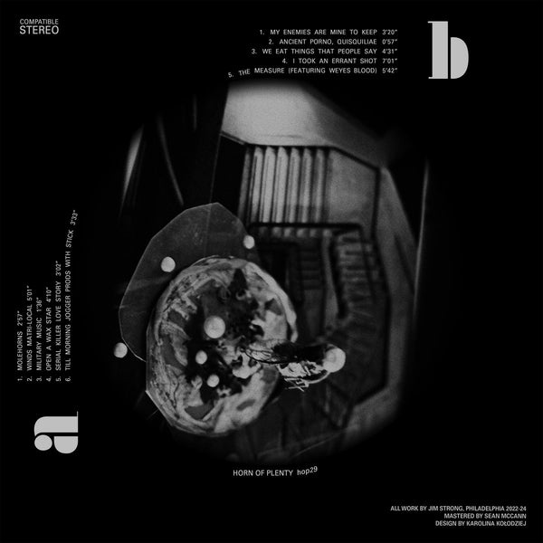 Jim Strong // My Enemies Are Mine To Keep LP – Tobira Records