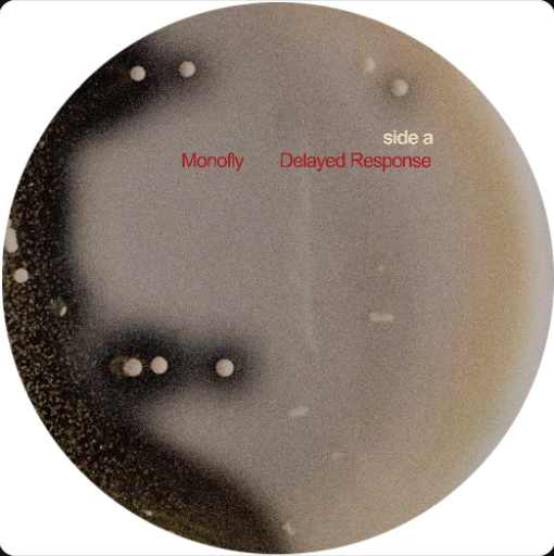 Dockett Eddy // Monofly EP 12inch – Tobira Records