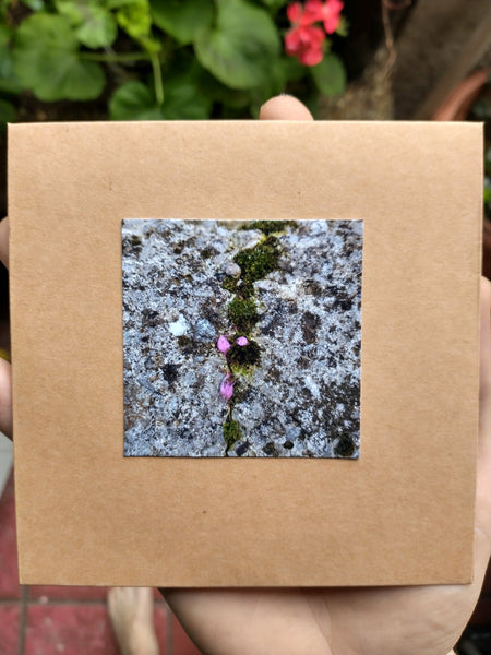 Tom Betteridge // lints CDr – Tobira Records