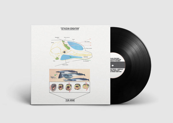 Sun Araw // Cetacean Sensation LP – Tobira Records