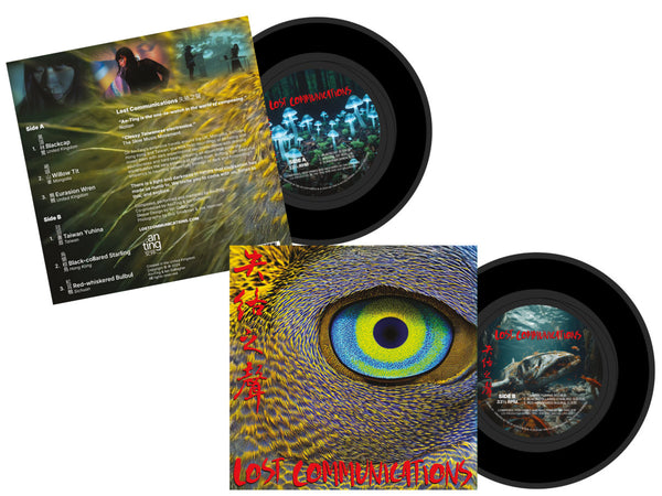 An-Ting // Lost Communications LP – Tobira Records