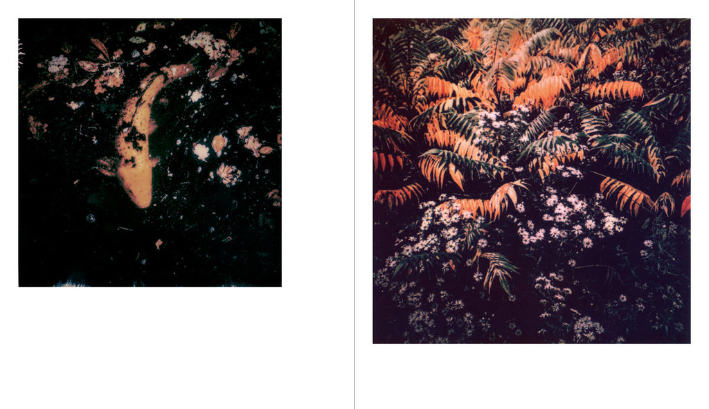 Michael Roemers / Federico Durand // Té De Flores Silvestres ART BOOK ...