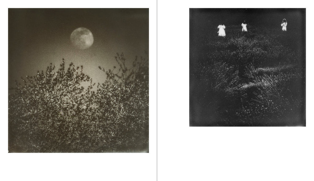 Michael Roemers / Federico Durand // Té De Flores Silvestres ART BOOK ...