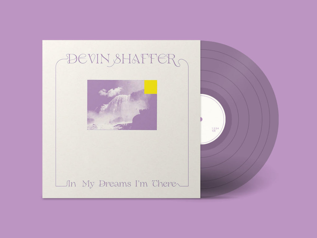Devin Shaffer // In My Dreams I'm There LP [BLACK/COLOR] – Tobira Records