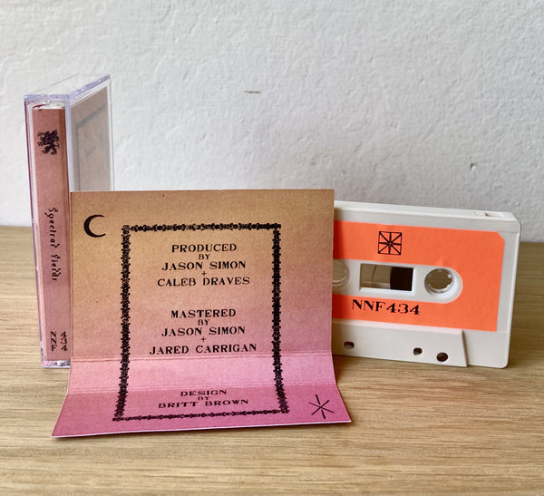 Spectral Fields // IV TAPE – Tobira Records