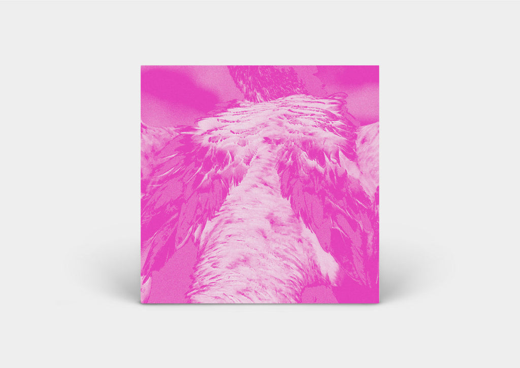 Kate Carr // A Field Guide To Phantasmic Birds CD – Tobira Records