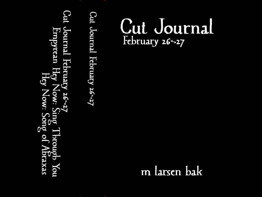 M Larsen-Bakk // Cut Journal February 26th-27th TAPE – Tobira Records