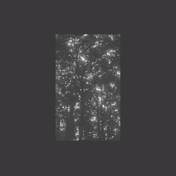 Mannerfelt/Haydo // Radio Mohave TAPE – Tobira Records