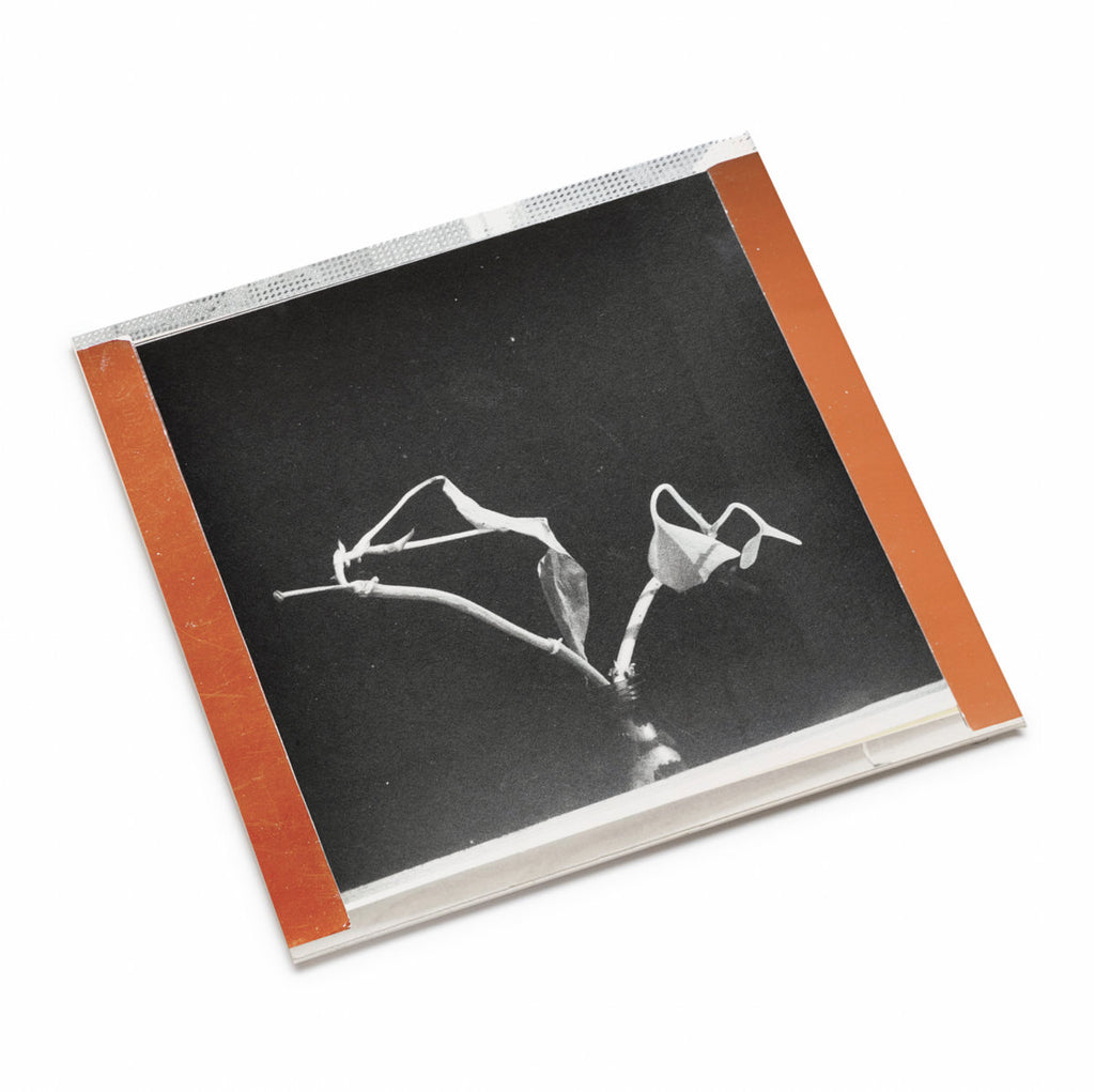 Pierre Bastien & Casper Van De Velde // On a Tuesday and a Wednesday L ...