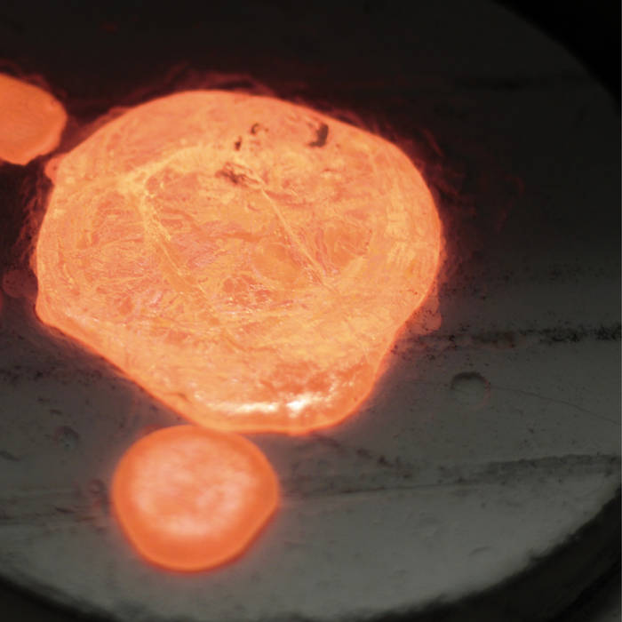 Lotus Eater (Lucy & Rrose) // Plasma 2x12inch – Tobira Records