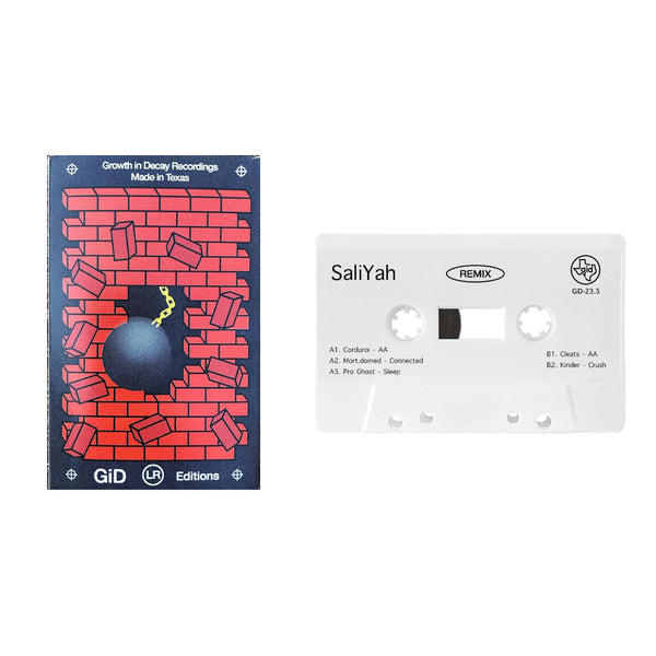 SaliYah / Various Artists // Sanctification (Remix Tape) TAPE – Tobira ...