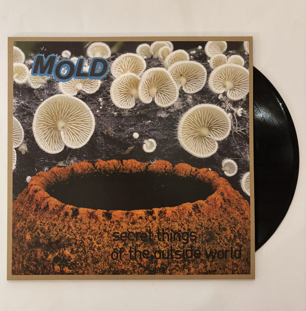 Mold // Secret Things Of The Outside World LP – Tobira Records