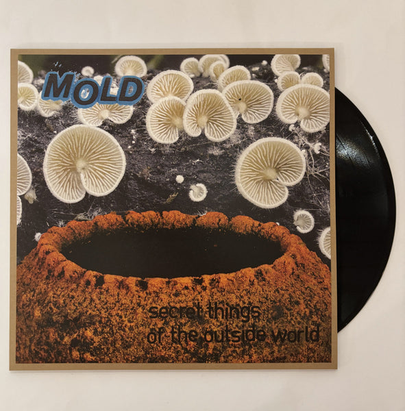 Mold // Secret Things Of The Outside World LP – Tobira Records