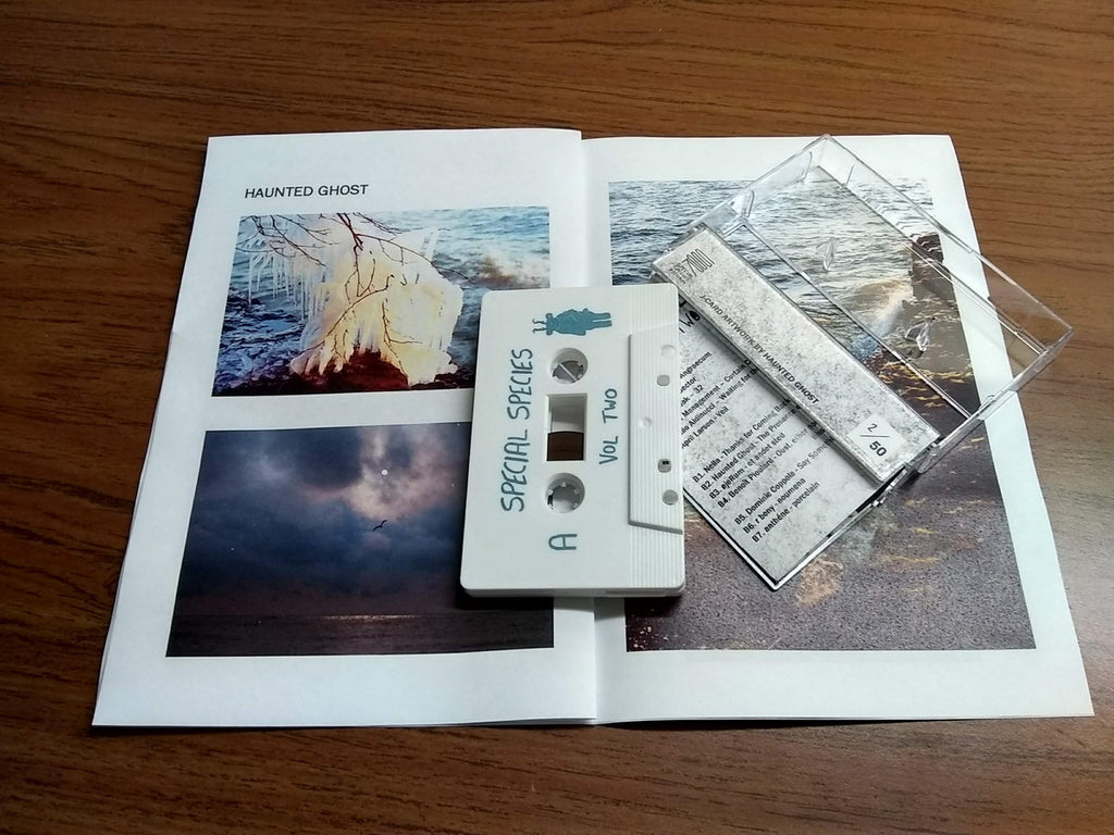 Various Artists // SSR003: Special Species Vol. Two TAPE + ZINE ...