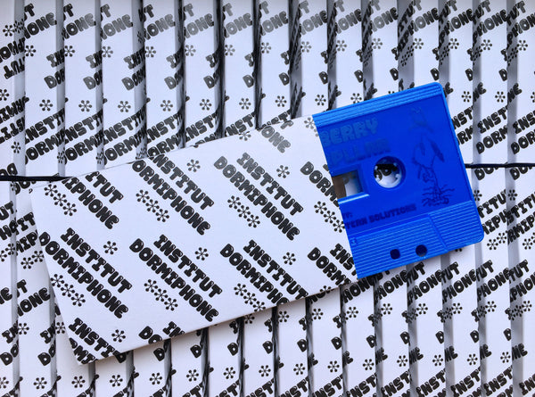 Constant-Pattern Solutions // Blueberry Caterpillar TAPE – Tobira Records