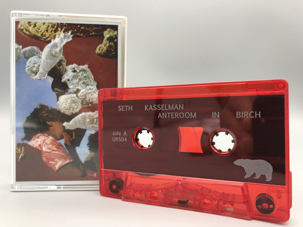 Seth Kasselman // Anteroom In Birch TAPE – Tobira Records