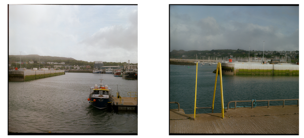 Dev Smith // Sentiments Of Green TAPE / TAPE+PHOTOBOOK – Tobira Records