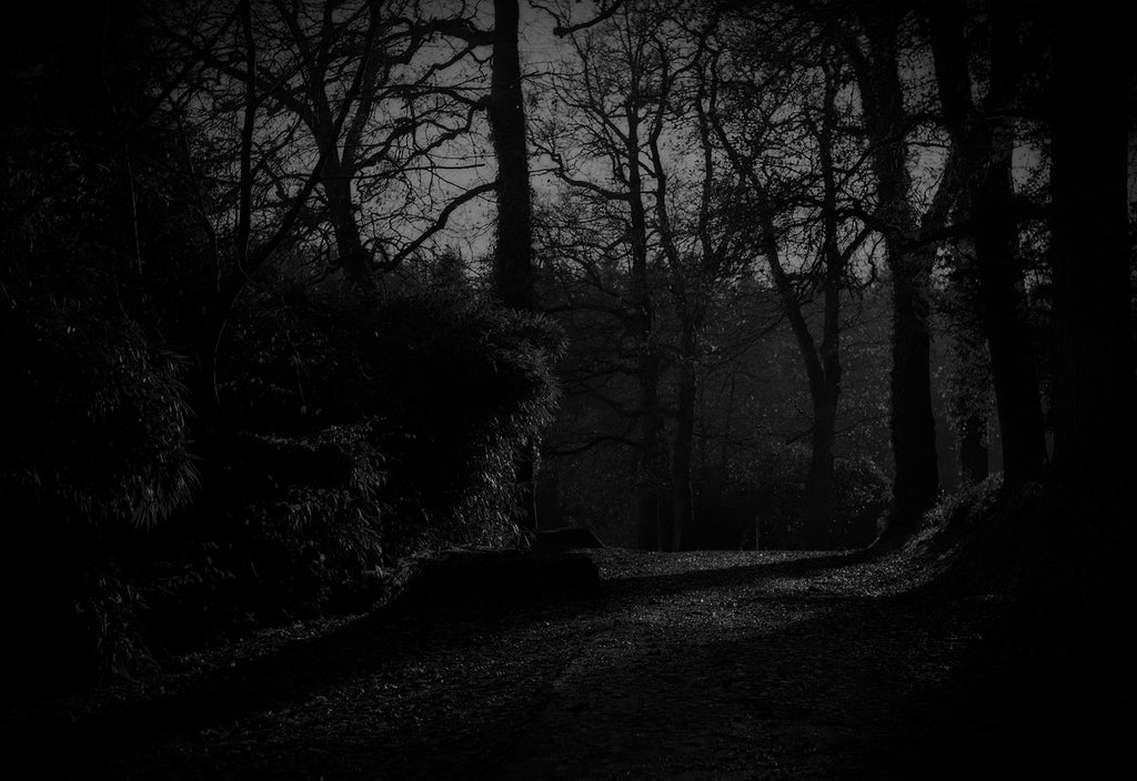 IHVH // The Agnostic CD – Tobira Records