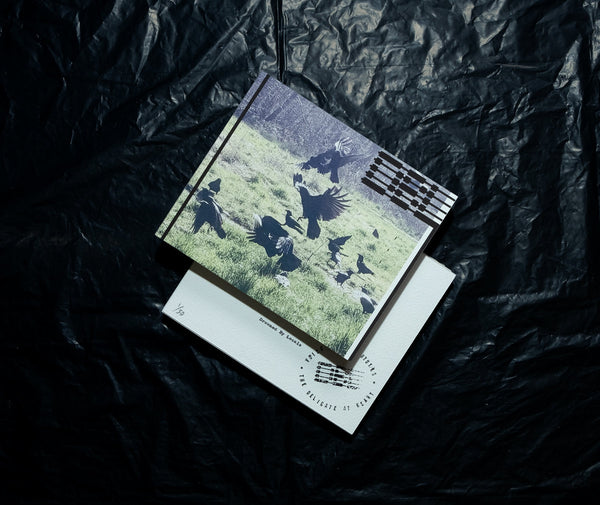 Thomas LaRoche // ever more precise accounts of the cave TAPE + ART CA ...
