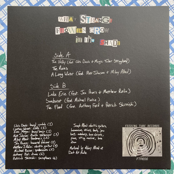 Joseph Allred // What Strange Flowers In The Shade LP – Tobira Records