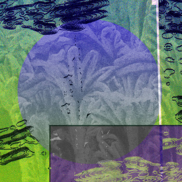 Thyme Lines // Geodesists TAPE – Tobira Records