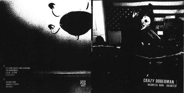 Crazy Doberman // --- / Haunted, Non / Haunted LP – Tobira Records
