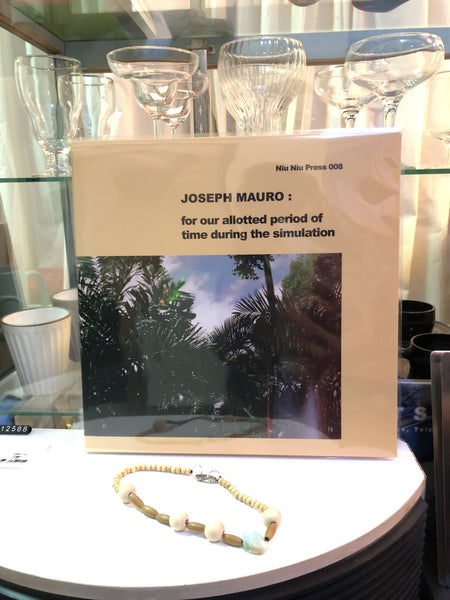 Joseph Mauro // for our allotted period of time during the simulation ...