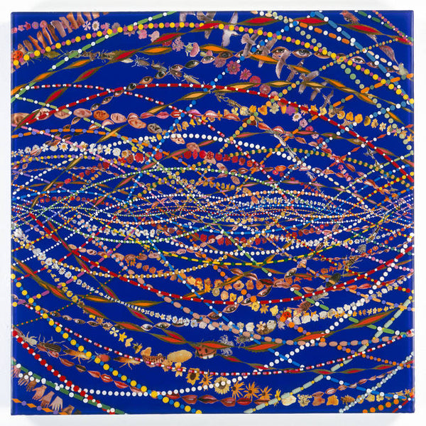 Kraig Grady // Monument of Diamonds CD – Tobira Records