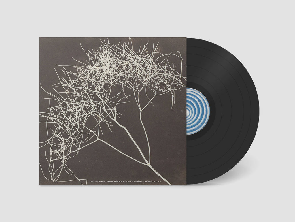 Marie Carroll, James McKain, & Tamio Shiraishi // No Information LP ...