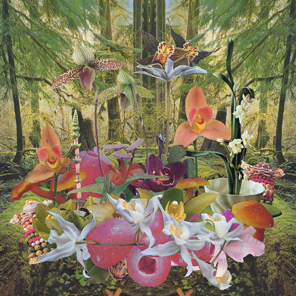 Monster Rally // Return to Paradise LP – Tobira Records