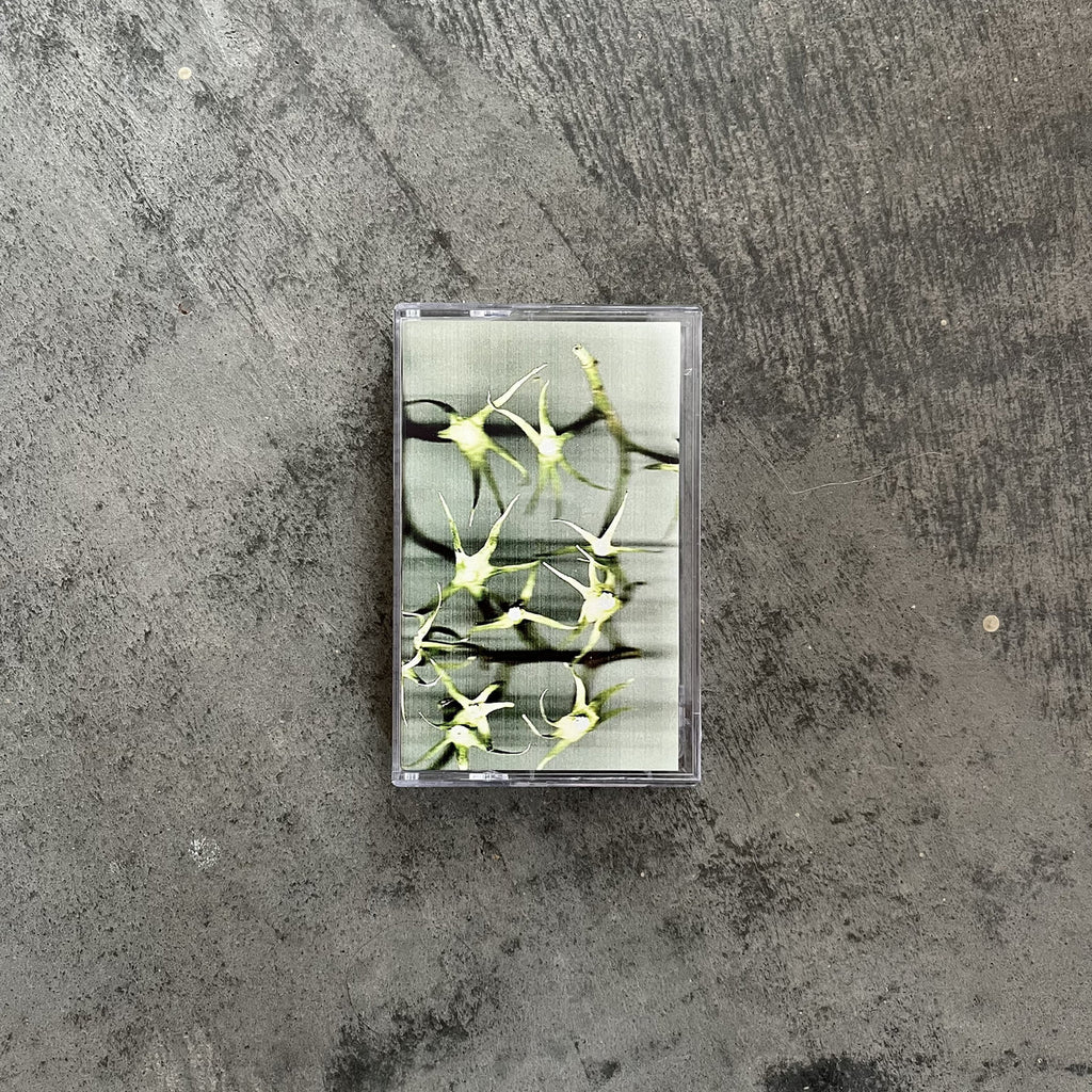 deadharrie // Plant Franklin TAPE – Tobira Records