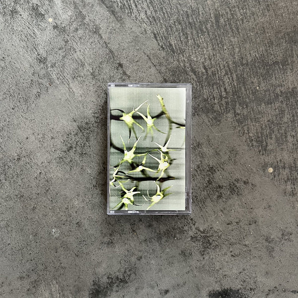 deadharrie // Plant Franklin TAPE – Tobira Records