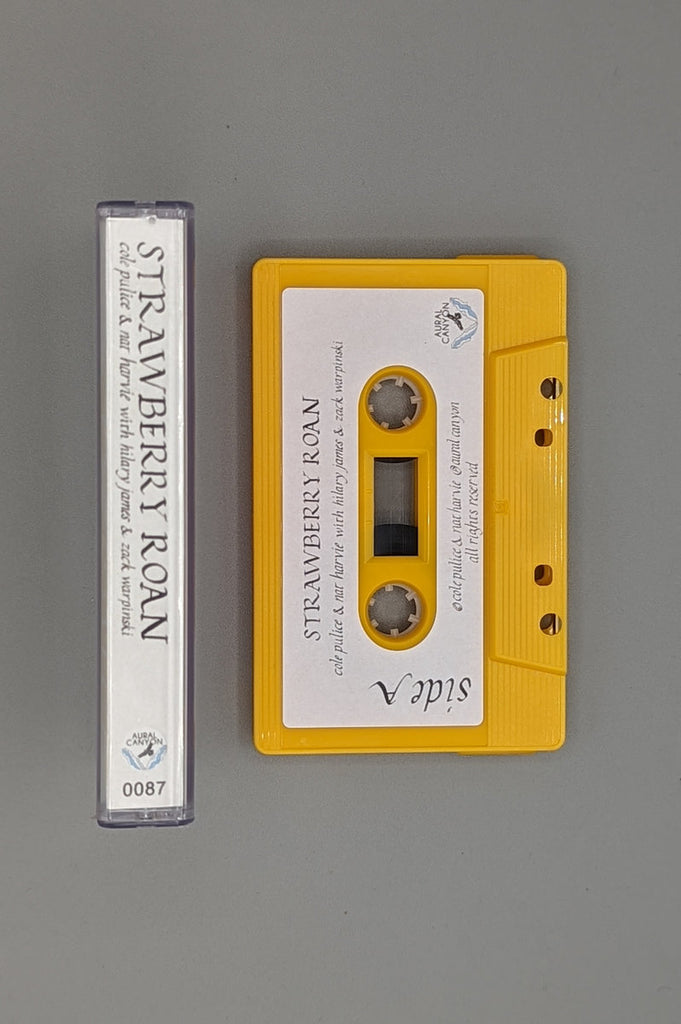 Cole Pulice & Nat Harvie // Strawberry Roan TAPE – Tobira Records