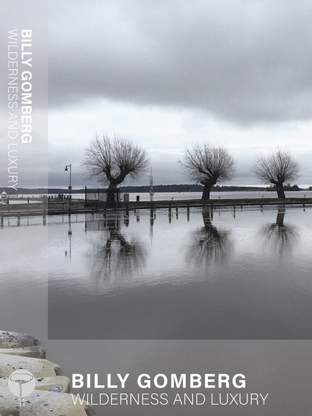 Billy Gomberg // Wilderness and Luxury TAPE – Tobira Records